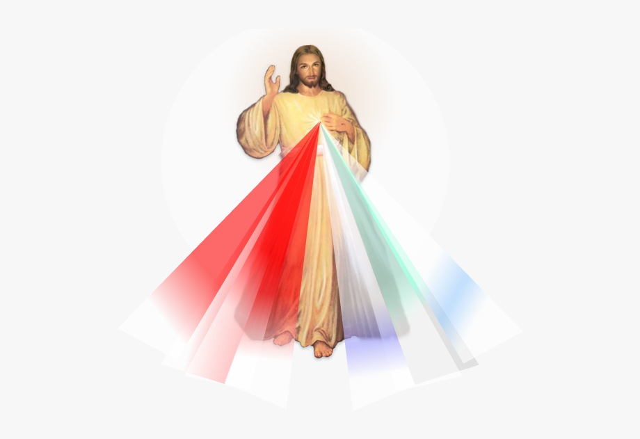 Contact Us – Divine Mercy Sydney Distributors